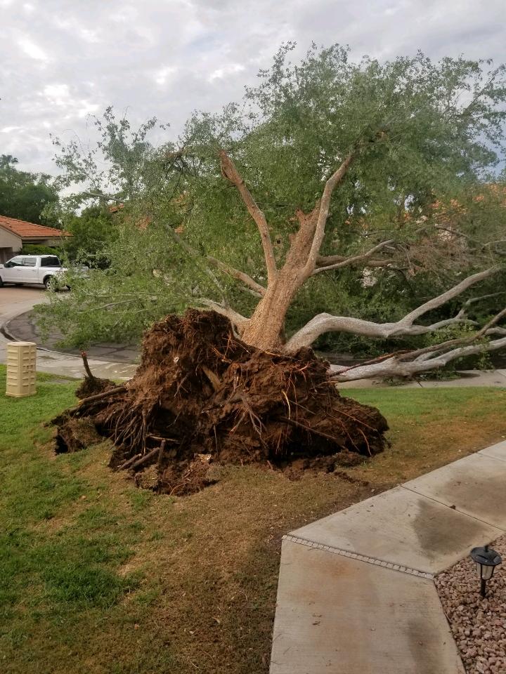 Weathering the Storm - HMA PR